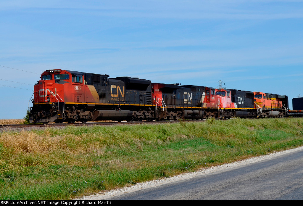 CN 8022
